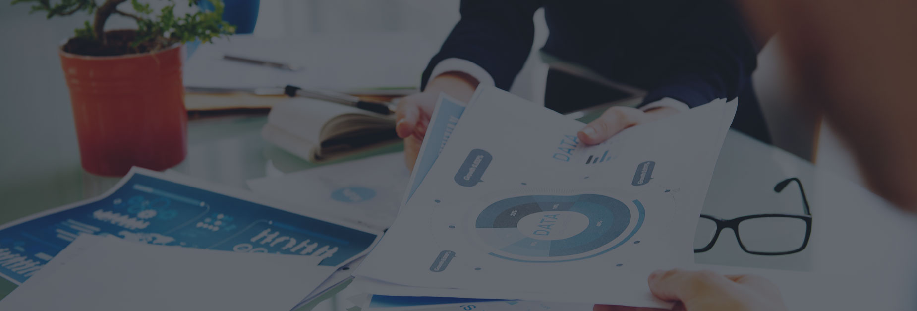 Dissan – Institucional